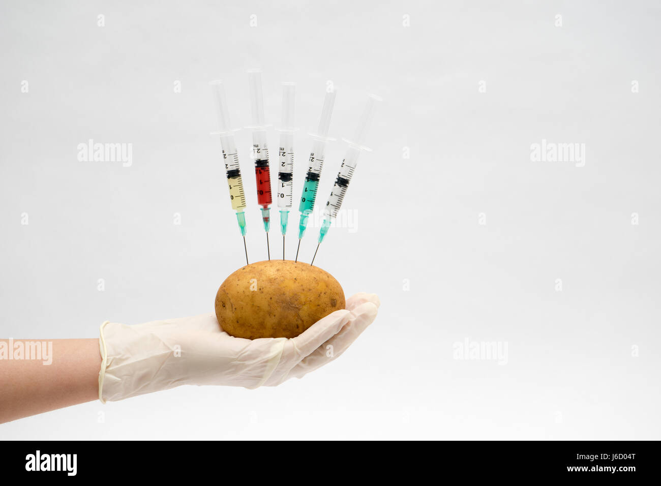 GMO experiment scientist injecting liquid into potato on white ...
