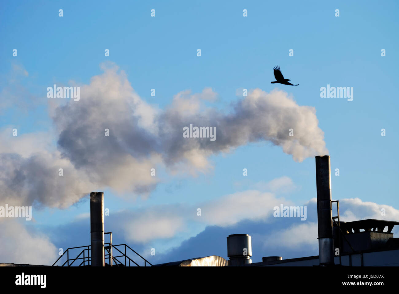 smoke smoking smokes fume environment enviroment industry industrial ...