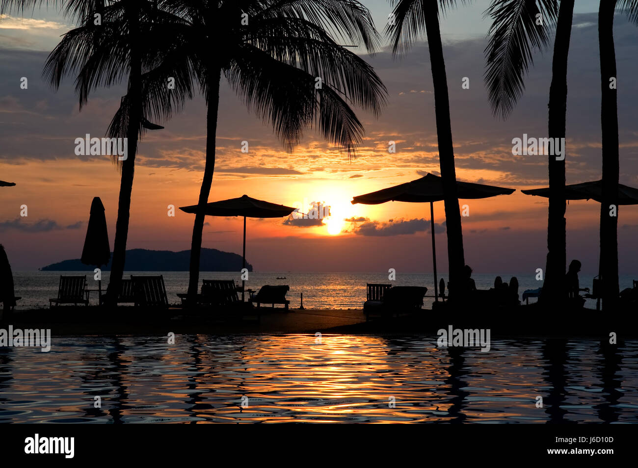 tree sunset reflection silhouette palm resort shine shines bright lucent light Stock Photo - Alamy