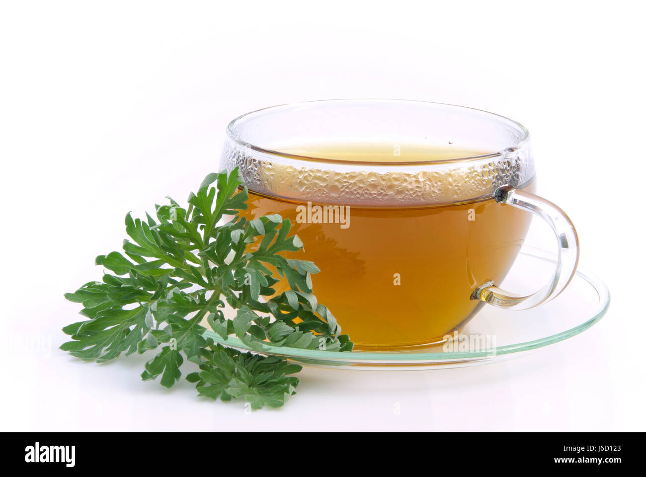 tea wormwood - tea wormwood 04 Stock Photo - Alamy