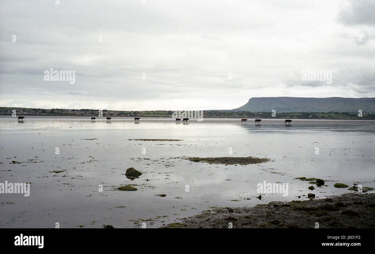 Visit sligo hi-res stock photography and images - Alamy