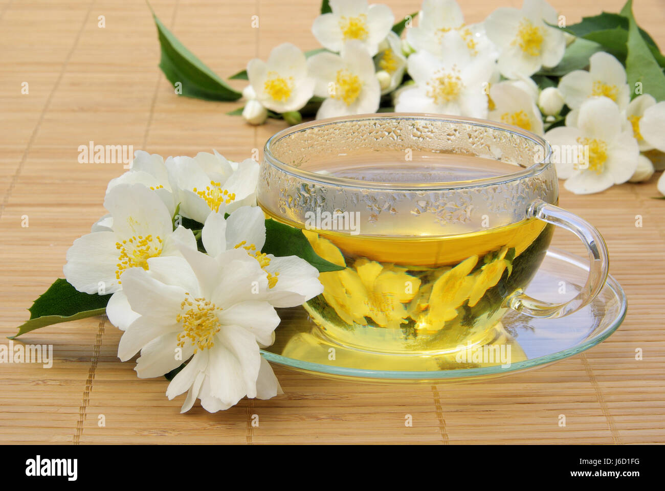 jasmine - jasmine tea 08 Stock Photo - Alamy