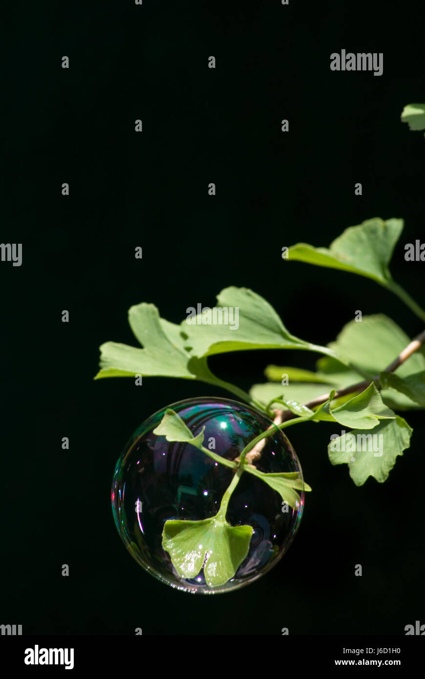 trapped in a bubble Stock Photo - Alamy