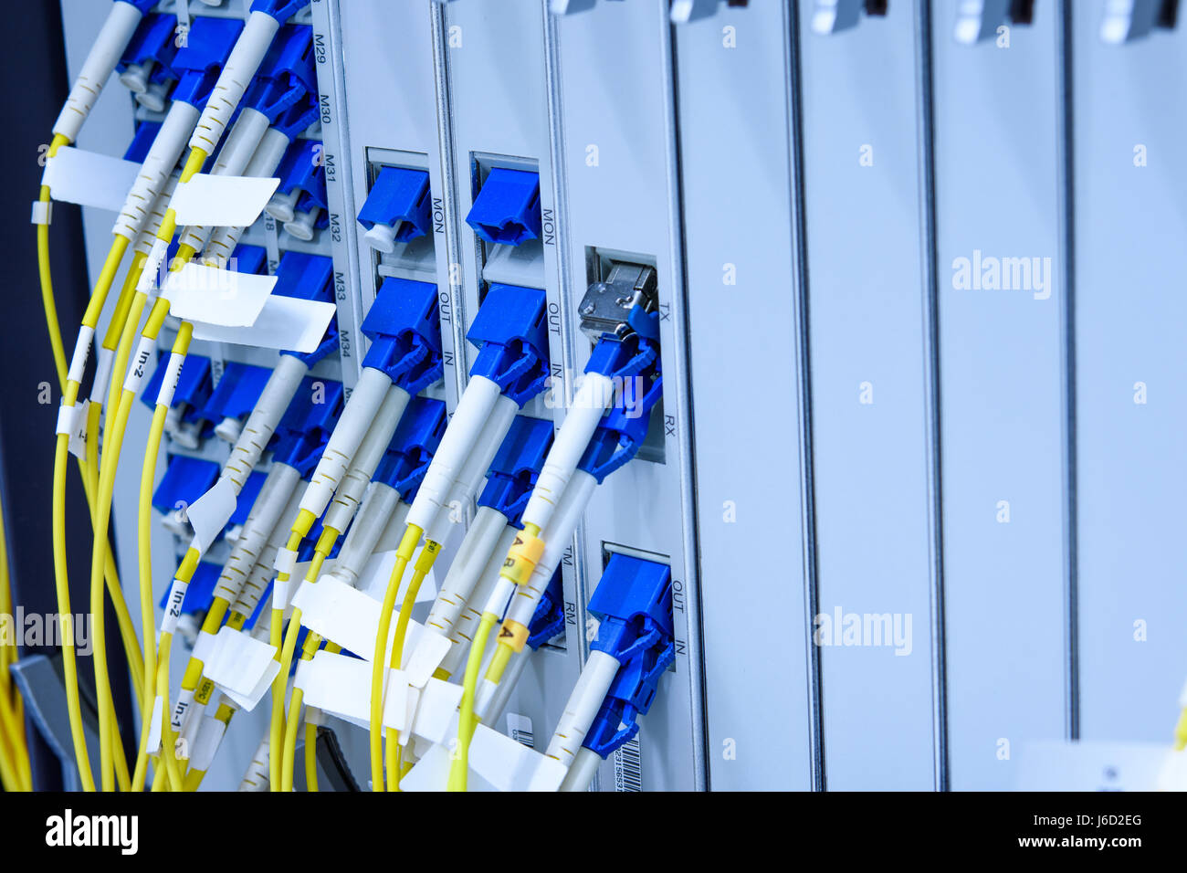 Fiber optic cable connected to card interface of networking switch ...