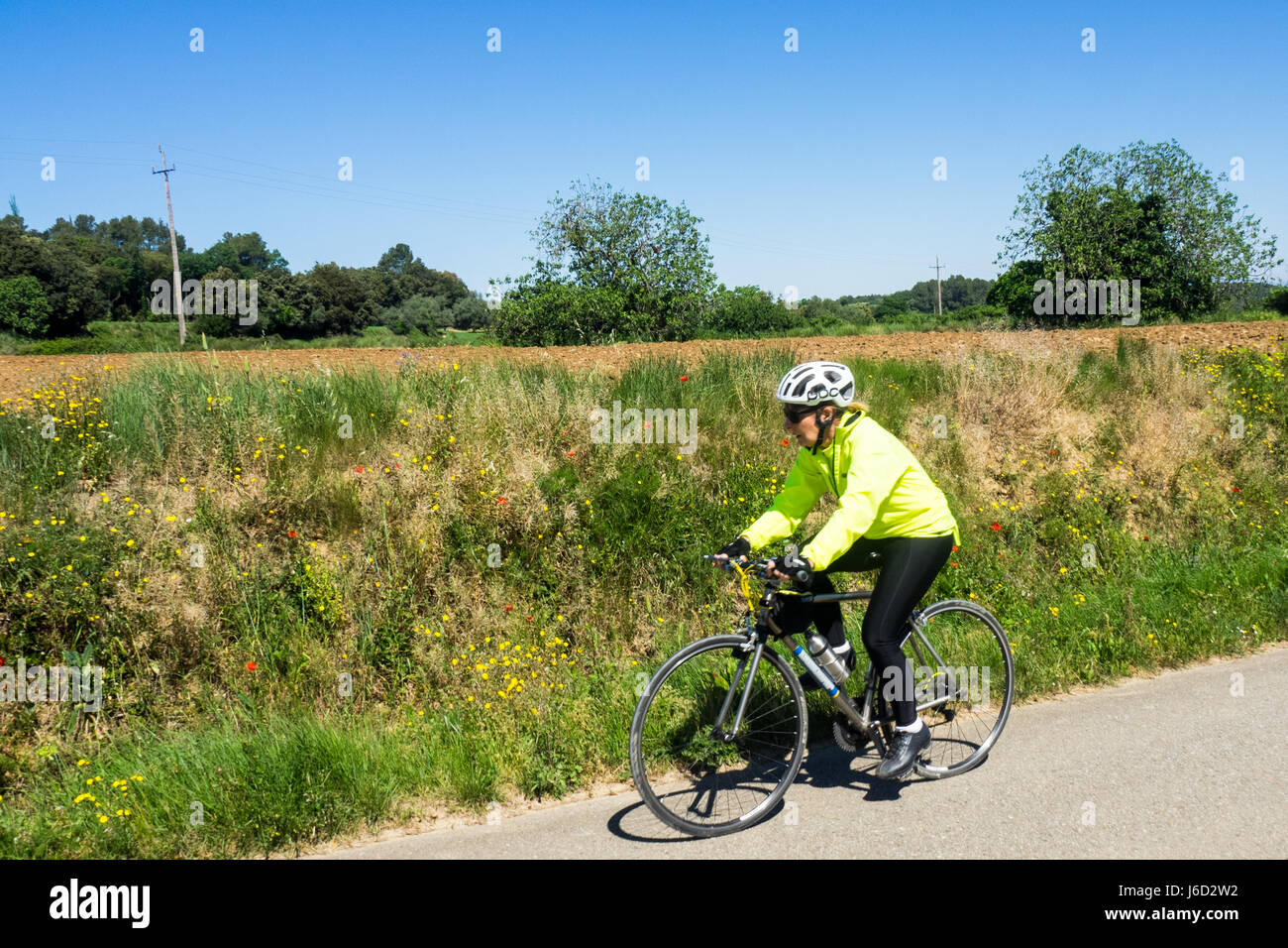 A female touring cyclist riding her titanium bicycle in the countryside ...