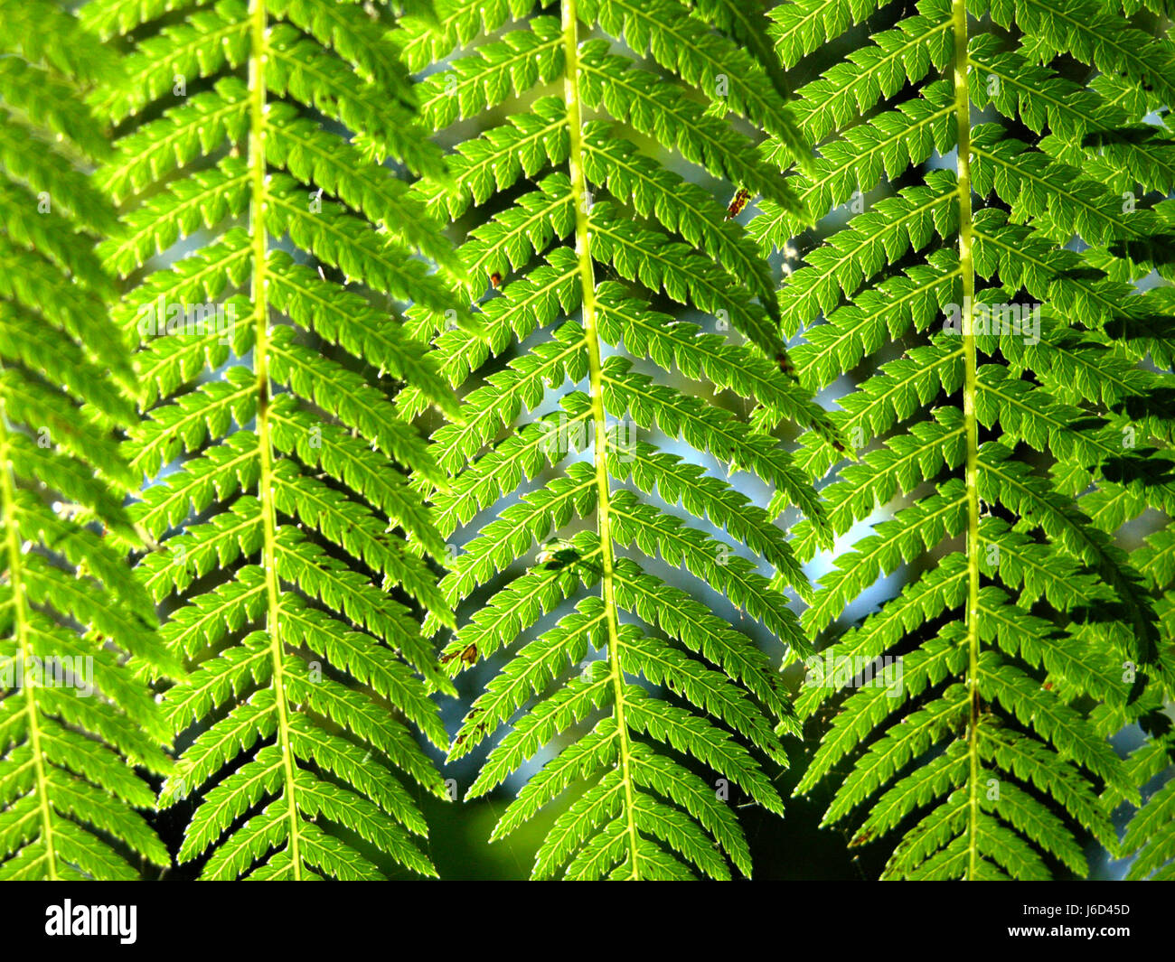 beautiful beauteously nice environment enviroment model design project ...