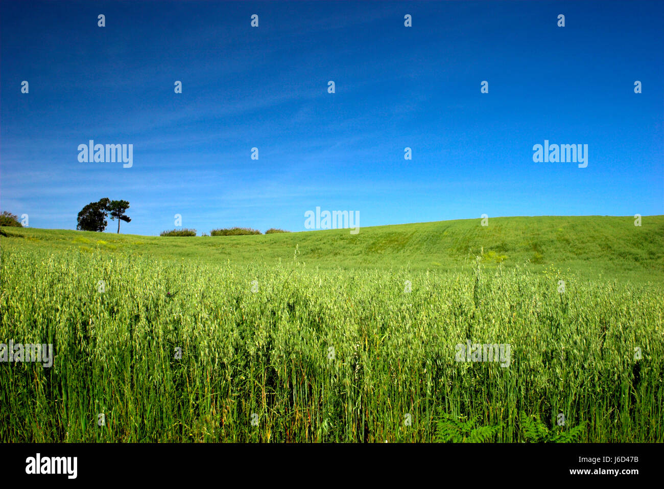 blue beautiful beauteously nice horizon park space heaven paradise ...