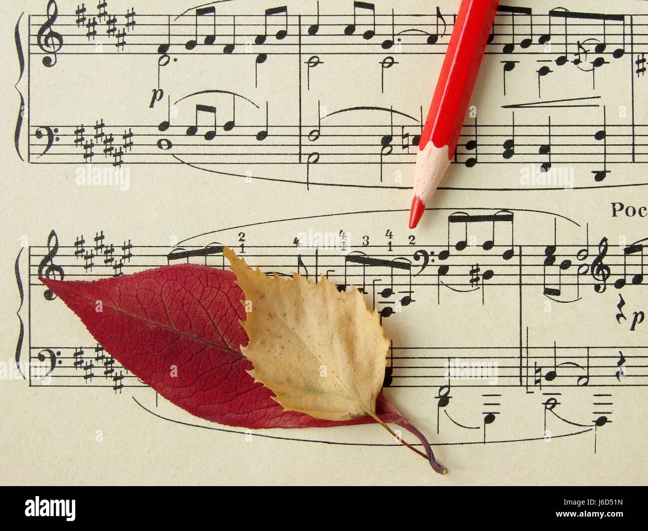 leaf music art culture musical composition model design project concept ...