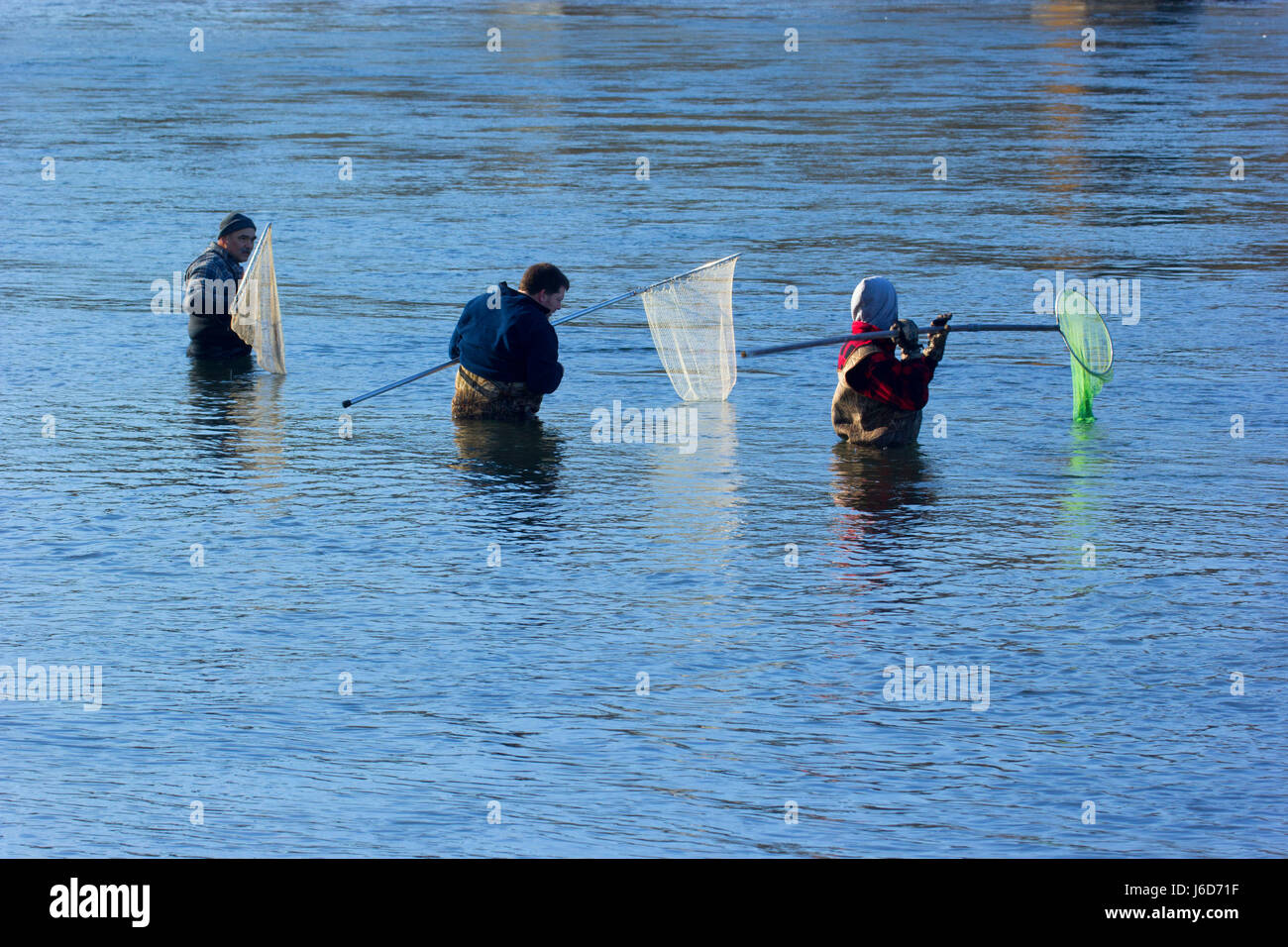 Smelting on the Sandy River, Sandy River Delta, Mt Hood National Forest ...