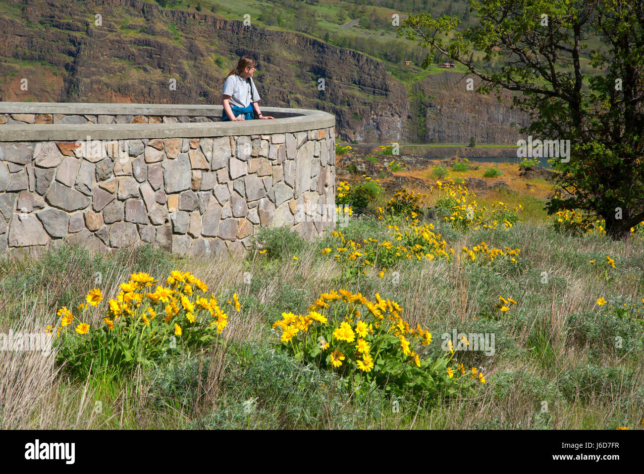 Viewpoint near Mosier Twin Tunnels, Historic Columbia River Highway ...