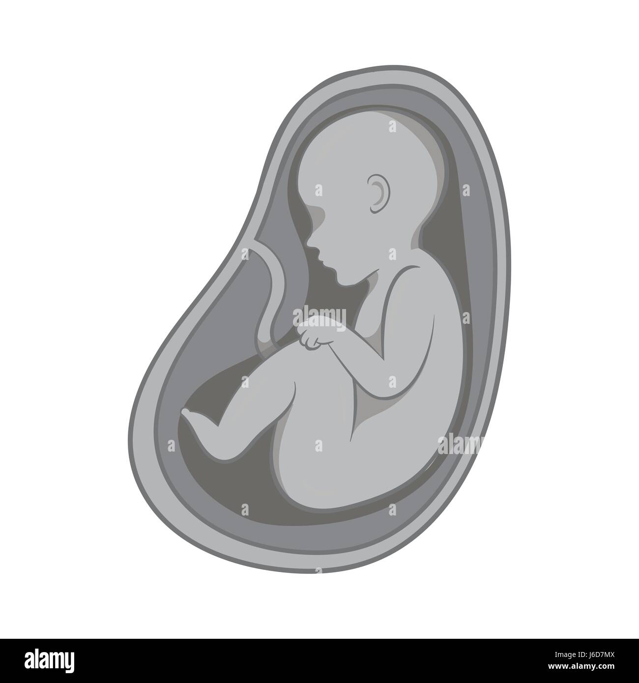 Baby in womb cartoon icon hi-res stock photography and images - Alamy