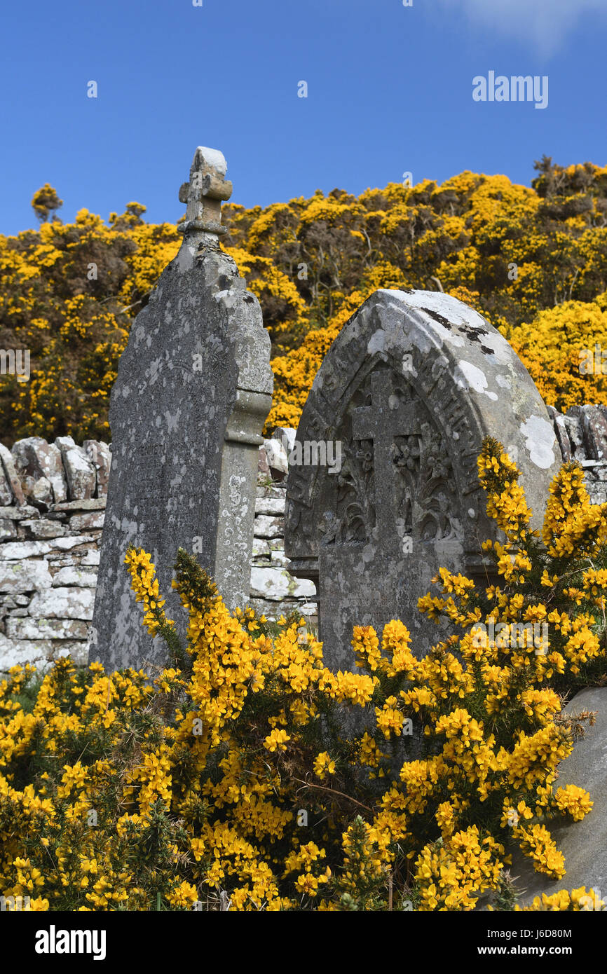 Berriedale scotland hi-res stock photography and images - Alamy