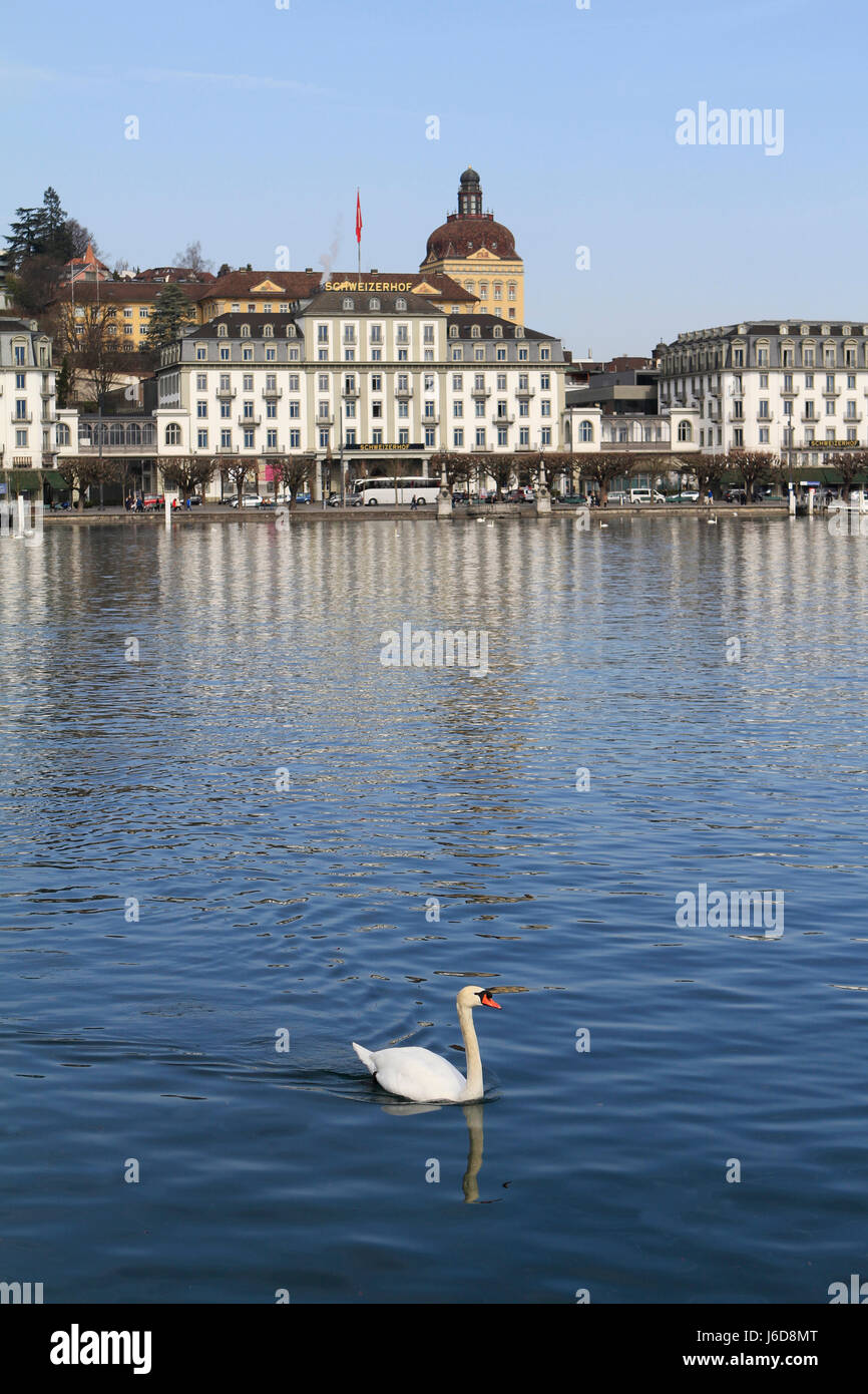 A view of Lake Lucerne with buildings and structures in the far ...