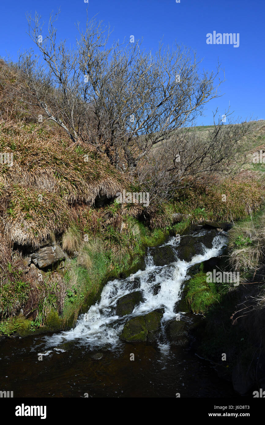 upland burn;running water;forse;latheron;caithness;scotland Stock Photo ...