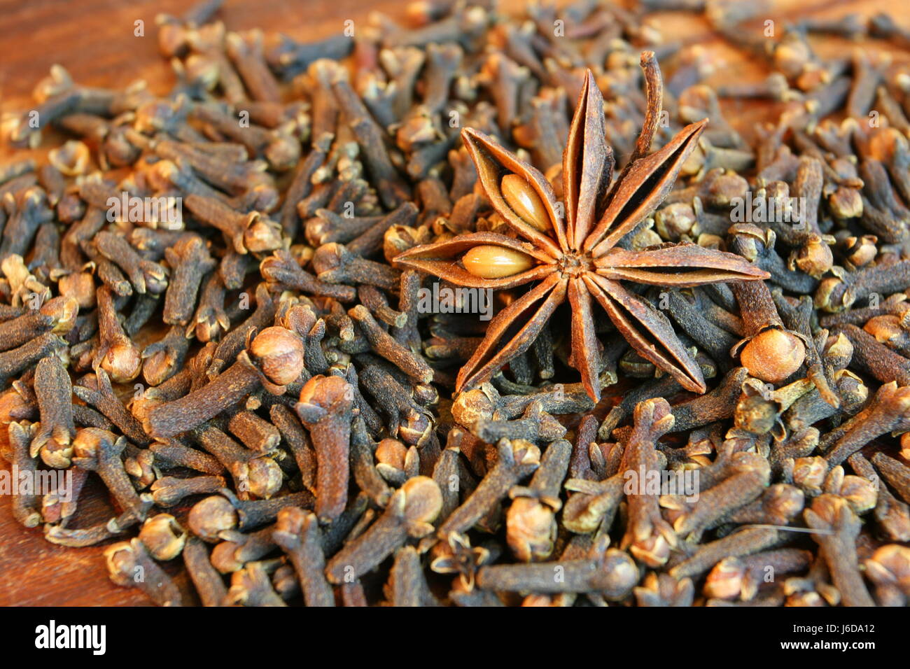 condiment carnation flavour spices chinese anise clove wort condiment ...