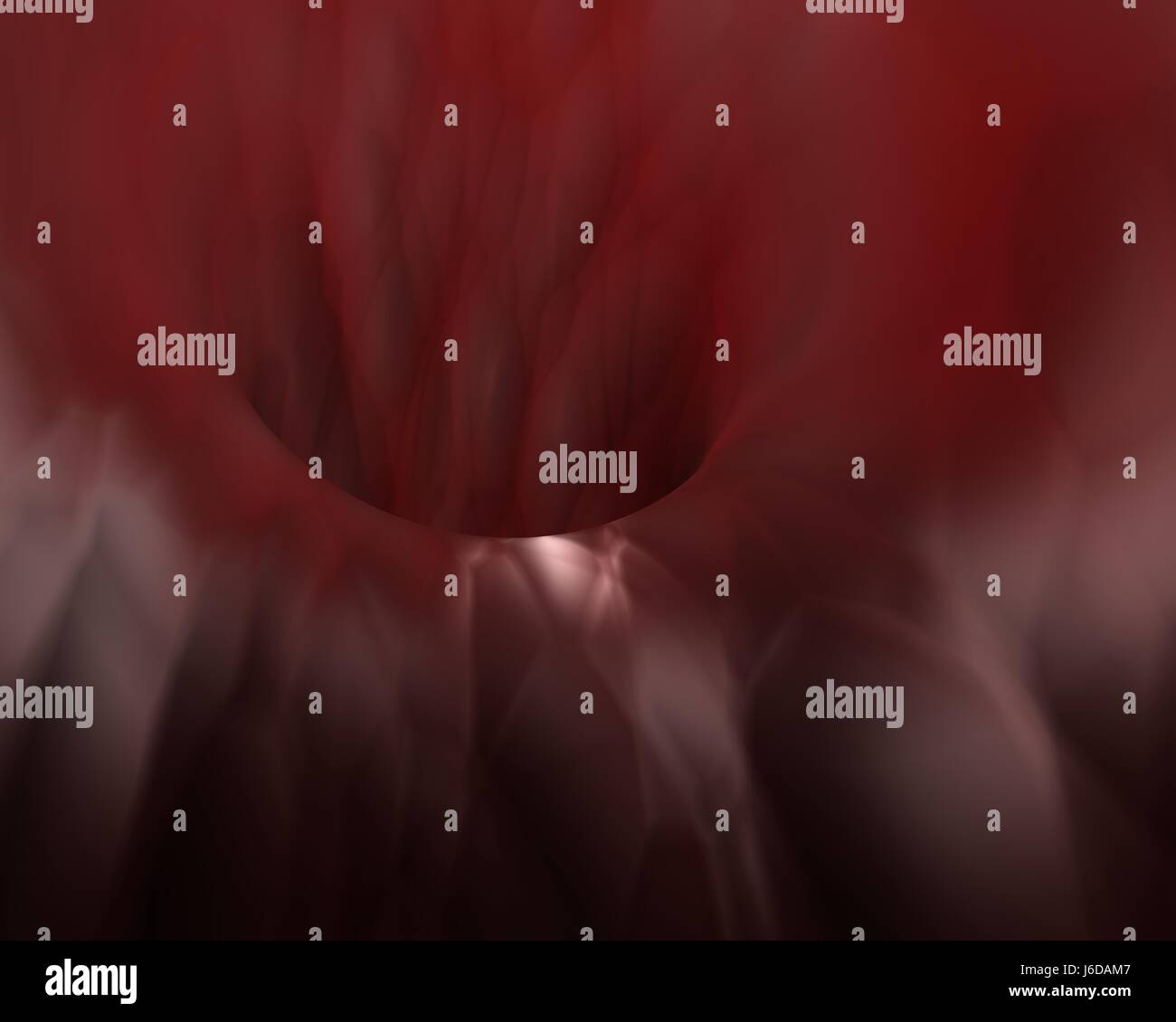 interior human human being blood anatomy body close art isolated ...