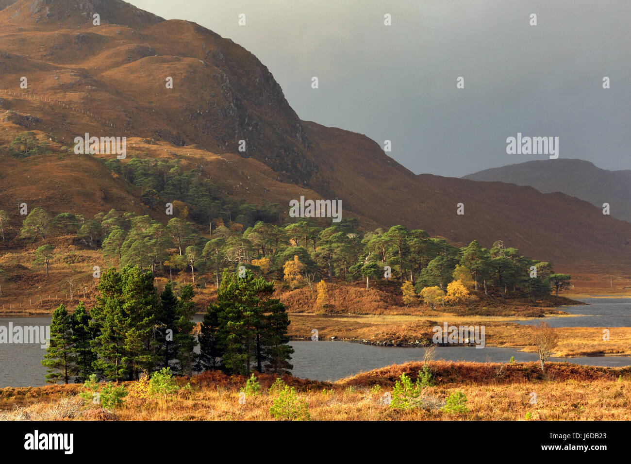 Fall colors around a scottish lake, Scotland, UK Stock Photo - Alamy