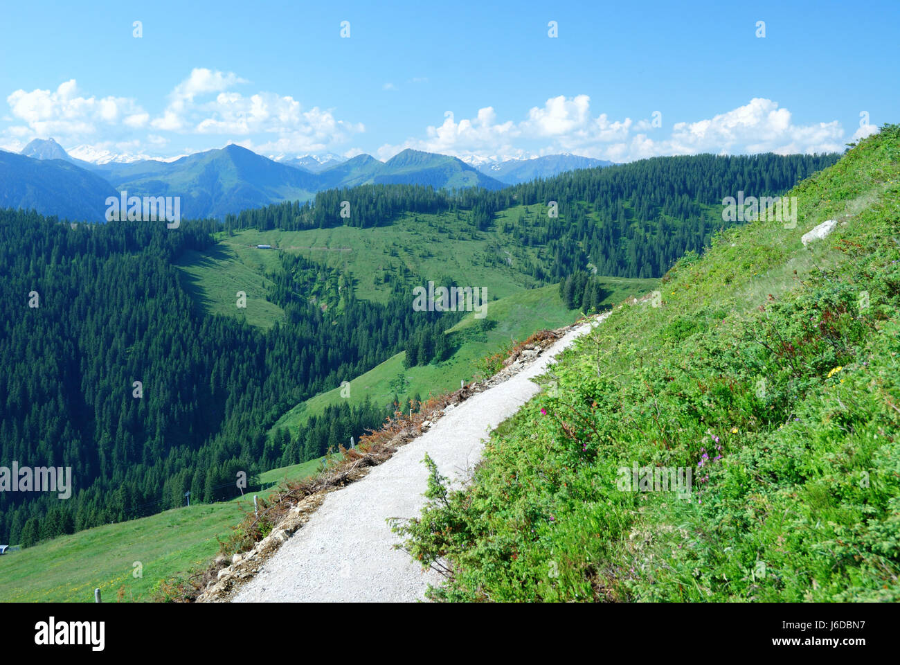 hill idyllic idyll pasture landscape scenery countryside nature alone ...