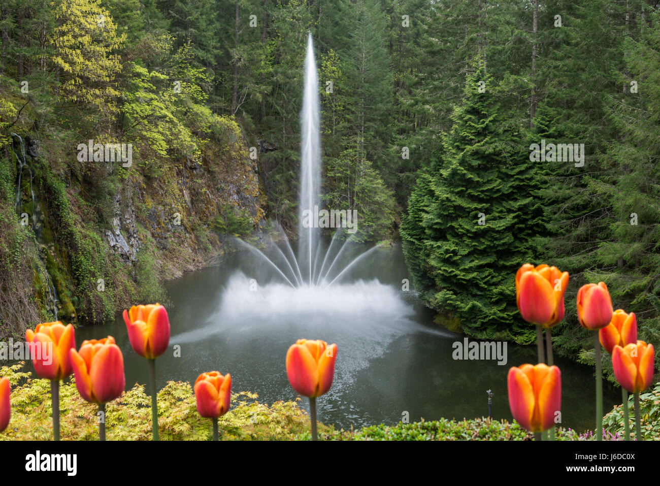 Butchart gardens pond fountain butchart gardens hi-res stock ...