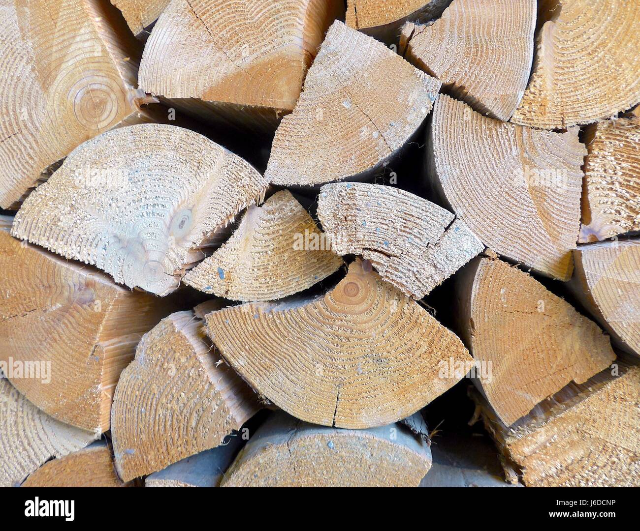 Wood log close up of background texture Stock Photo - Alamy