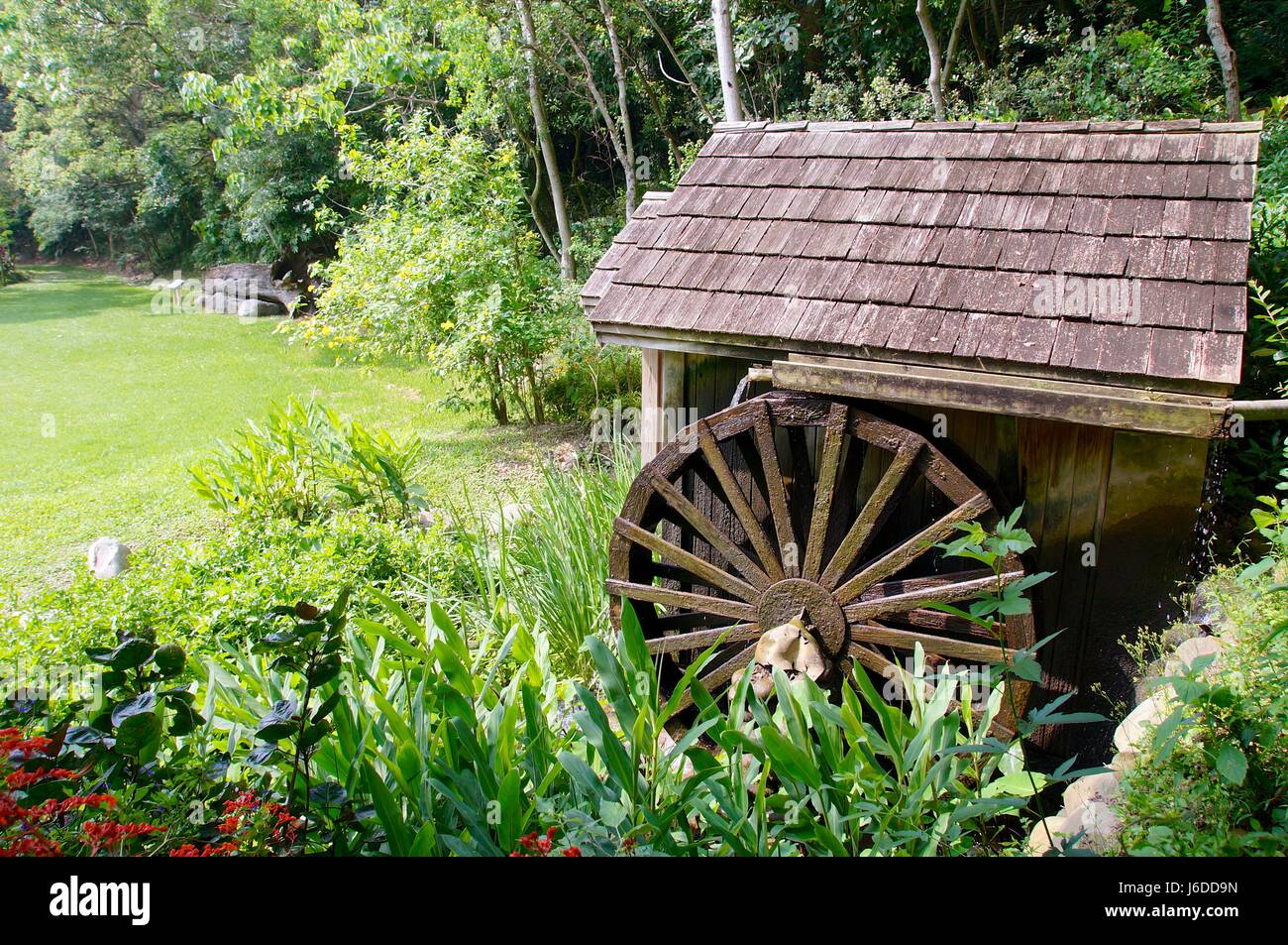 Water mill closeup in the forest Stock Photo - Alamy