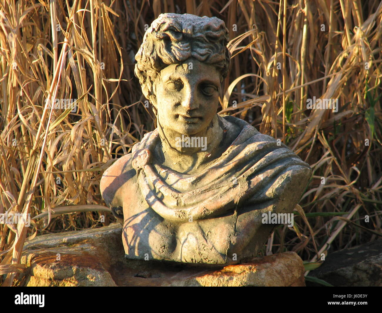 Female bust hi-res stock photography and images - Alamy
