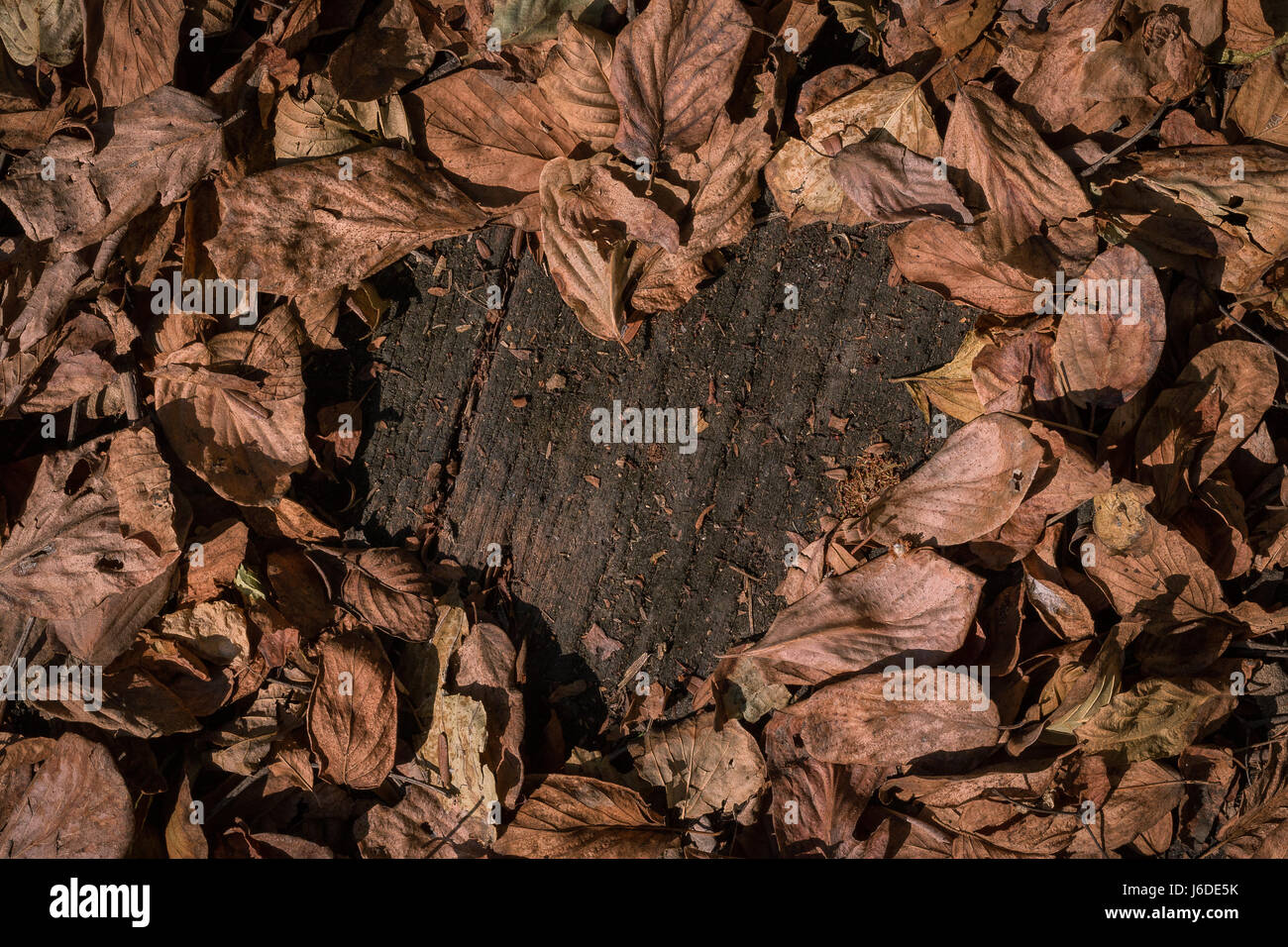 Heart shape from dry leaves on wooden background Stock Photo - Alamy