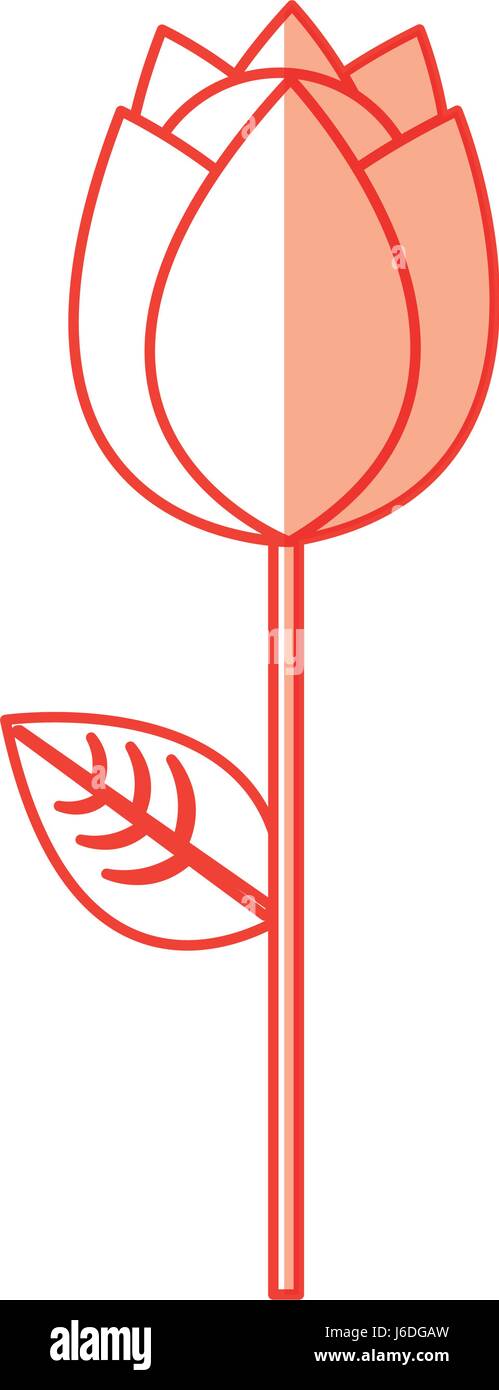 cute rose isolated icon Stock Vector Image & Art - Alamy
