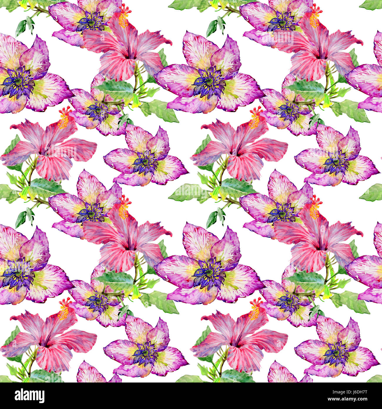 Wildflower hibiscus flower pattern in a watercolor style isolated Stock ...