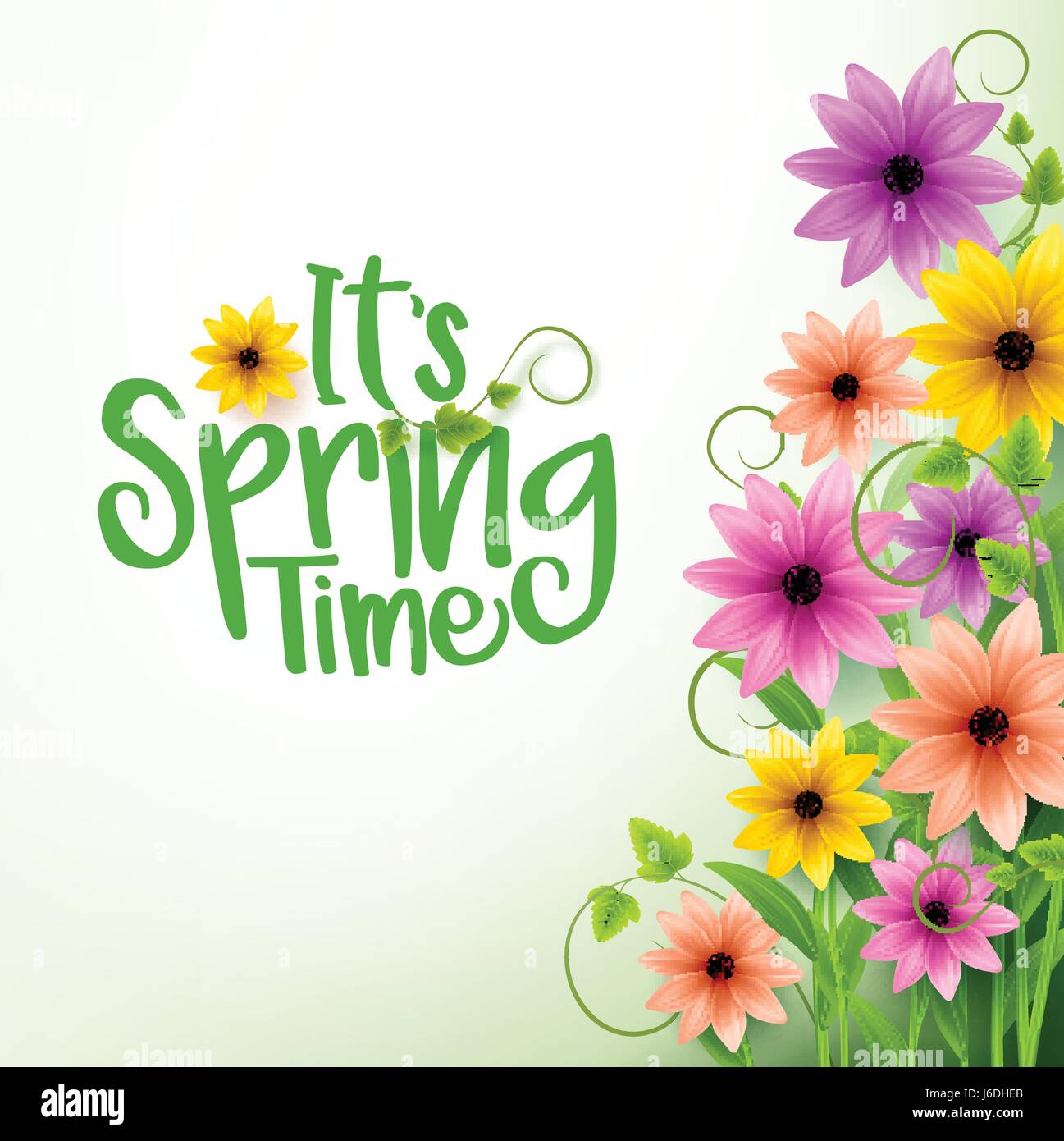 Vector Spring Time Text in White Background with Colorful Flowers and ...