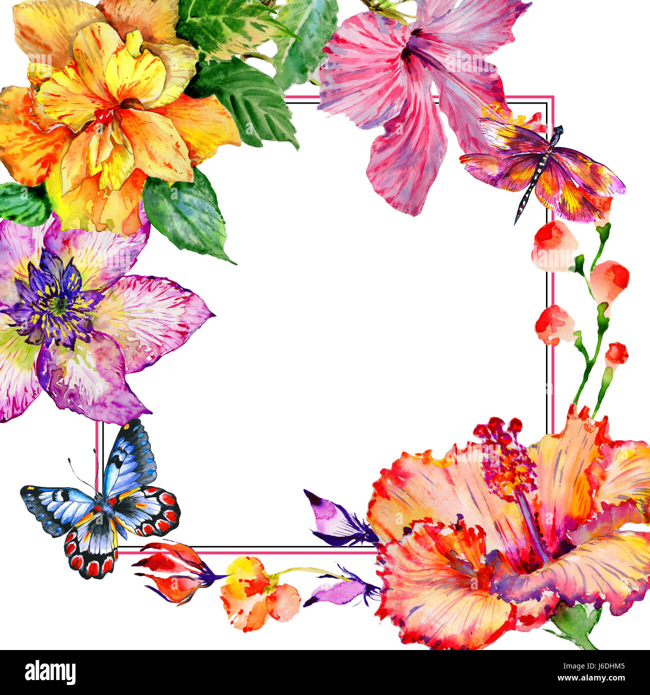 Wildflower hibiscus flower frame in hi-res stock photography and images ...