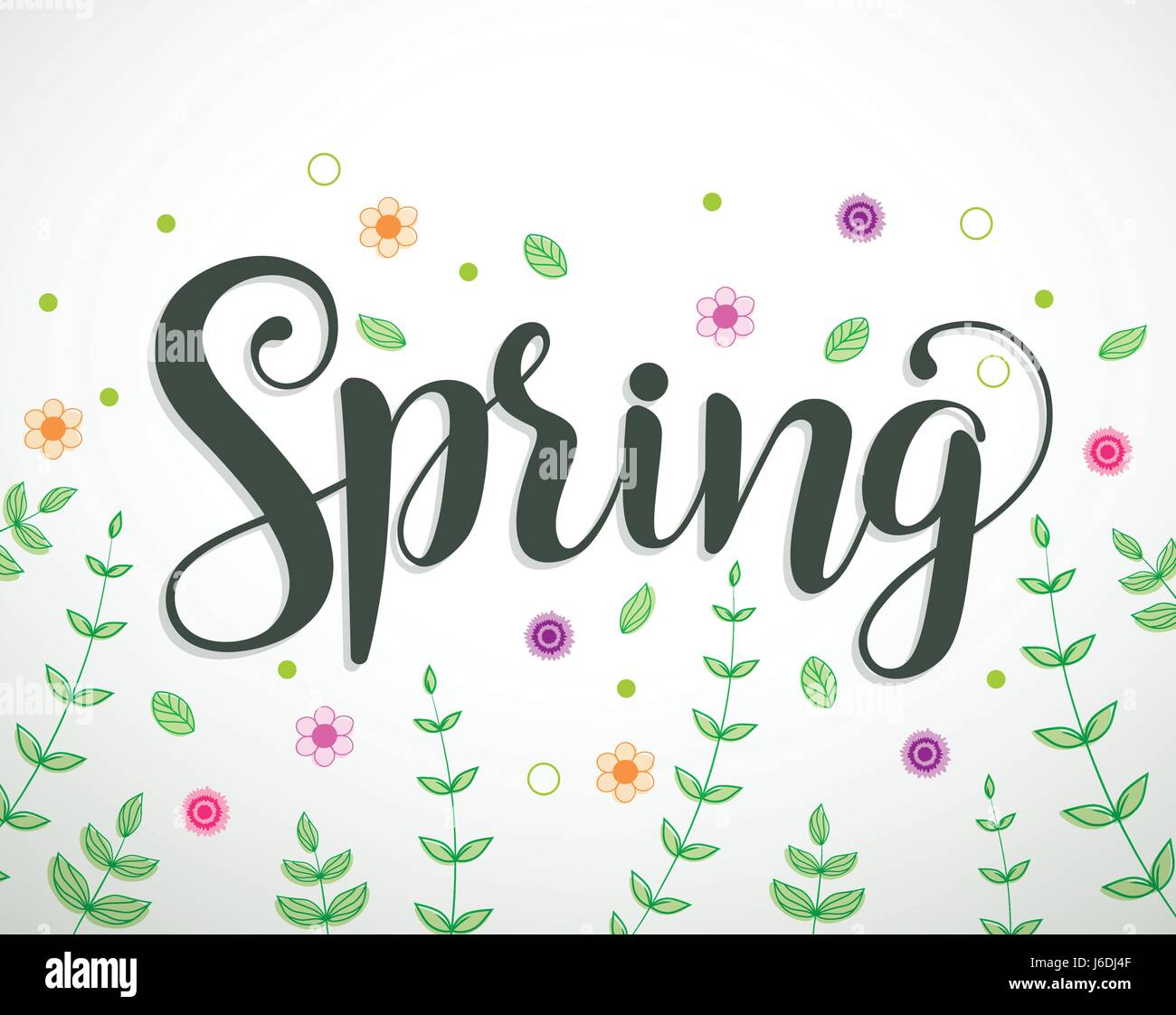 Spring text vector background design with colorful flowers, vines and ...