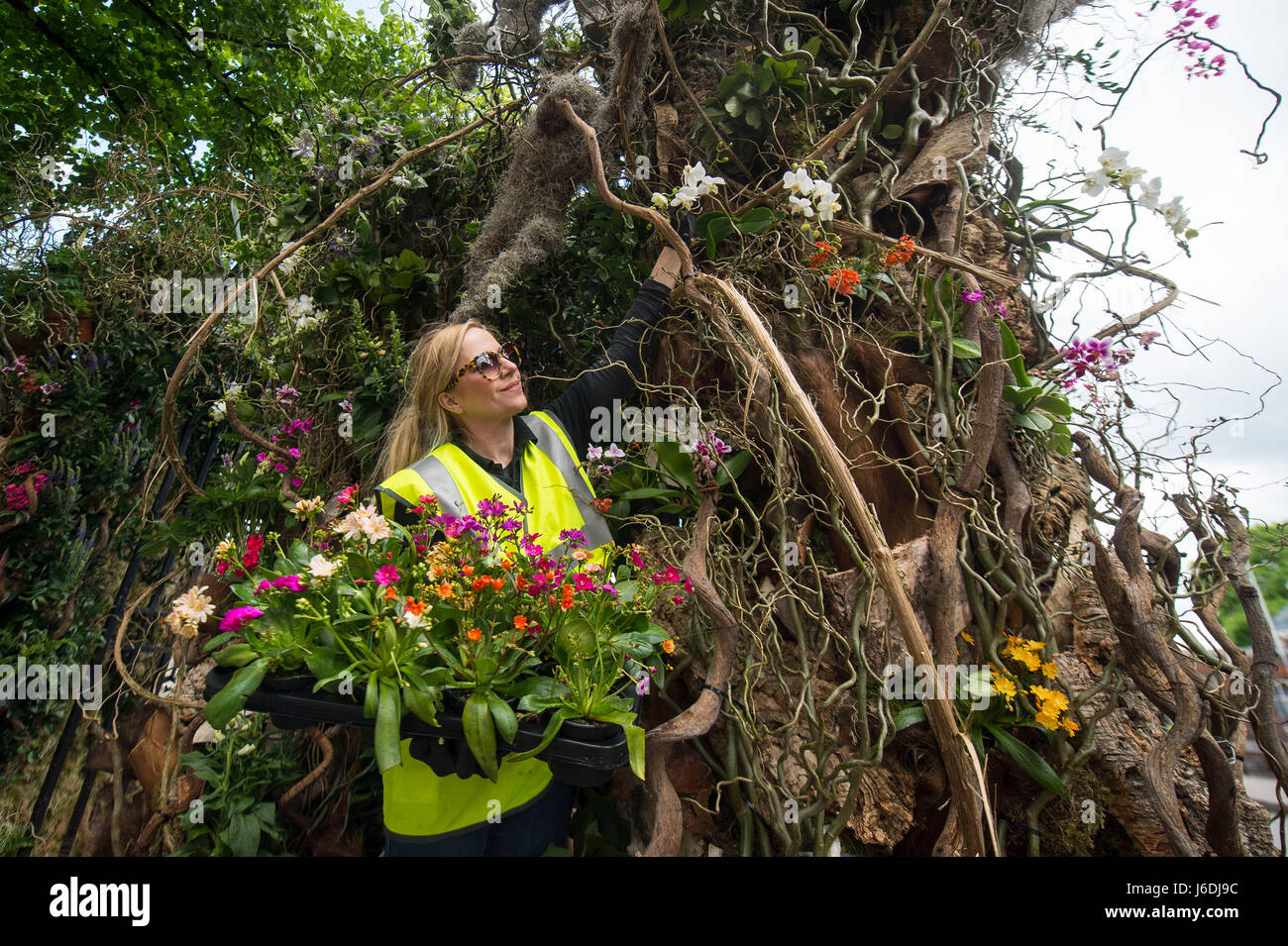 Carianne hi-res stock photography and images - Alamy