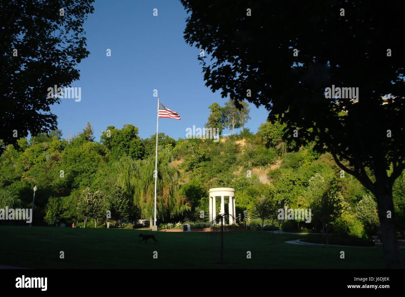 Blue sky view through trees, to background hillside, American Flag ...