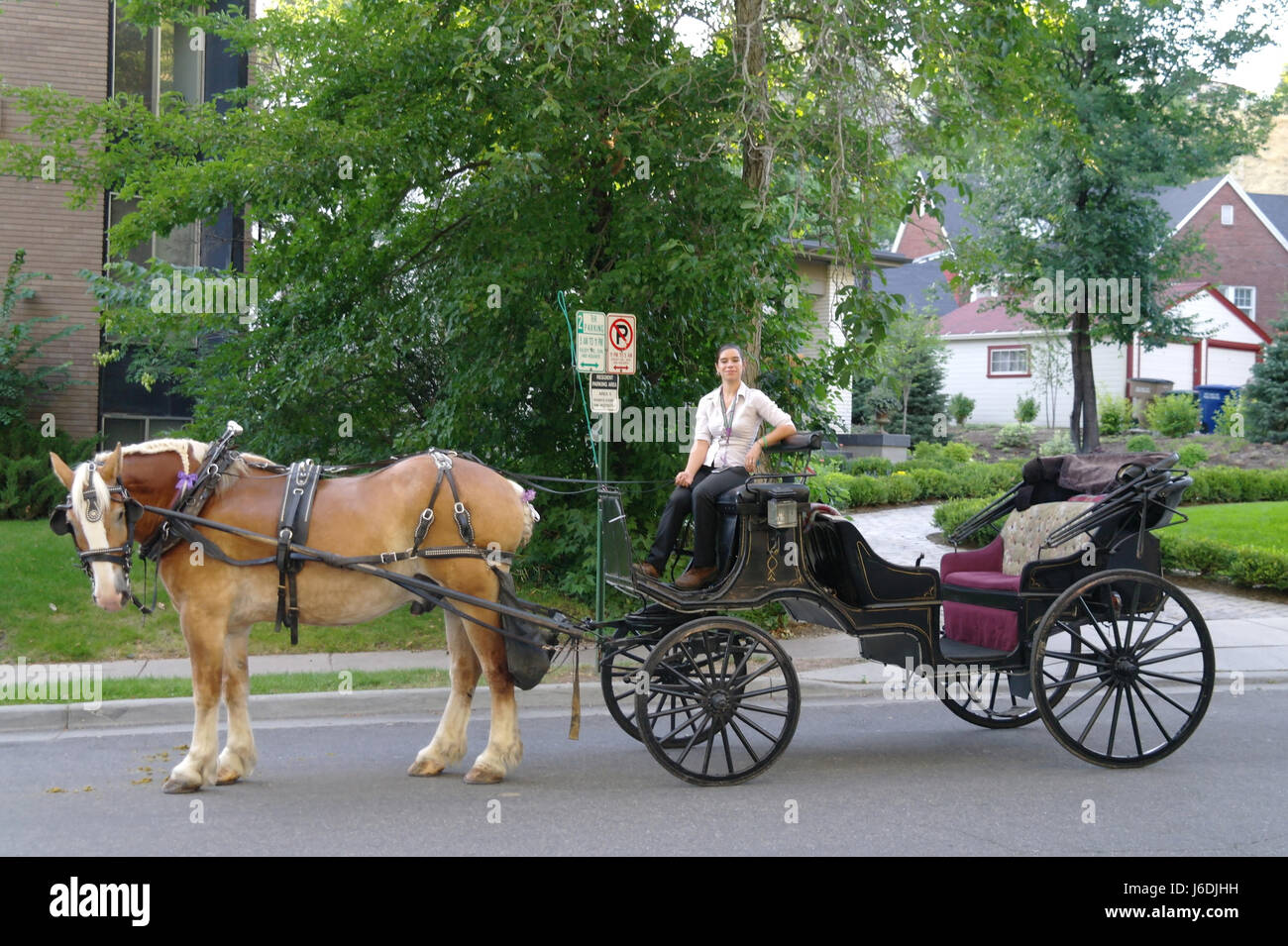 Paint horse lake hi-res stock photography and images - Alamy
