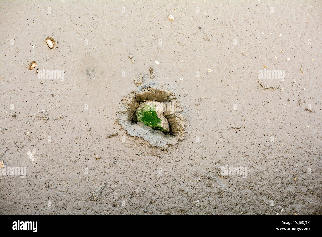 Surface of the earth hi-res stock photography and images - Alamy