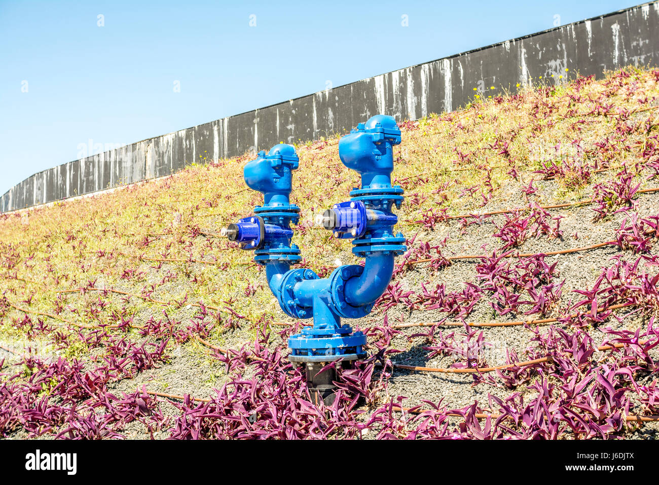 Looking around series Stock Photo - Alamy