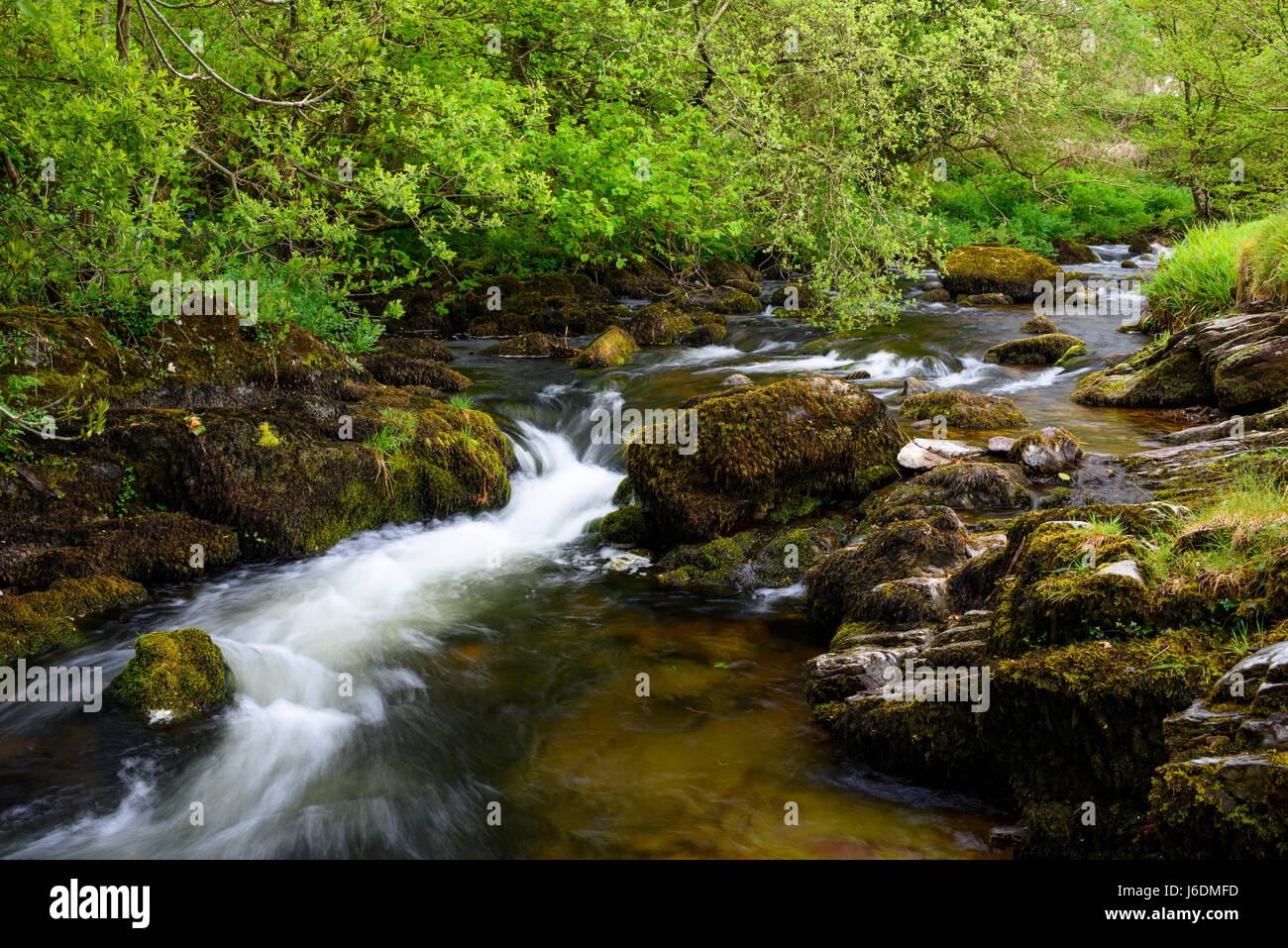 Devon and somerset border hi-res stock photography and images - Alamy