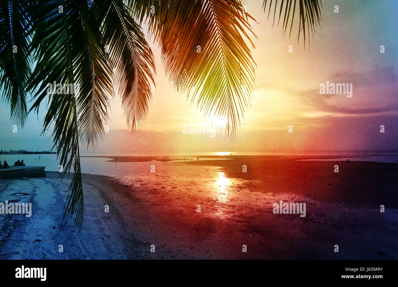 Retro photo background with palm trees and sunshine paradise island ...