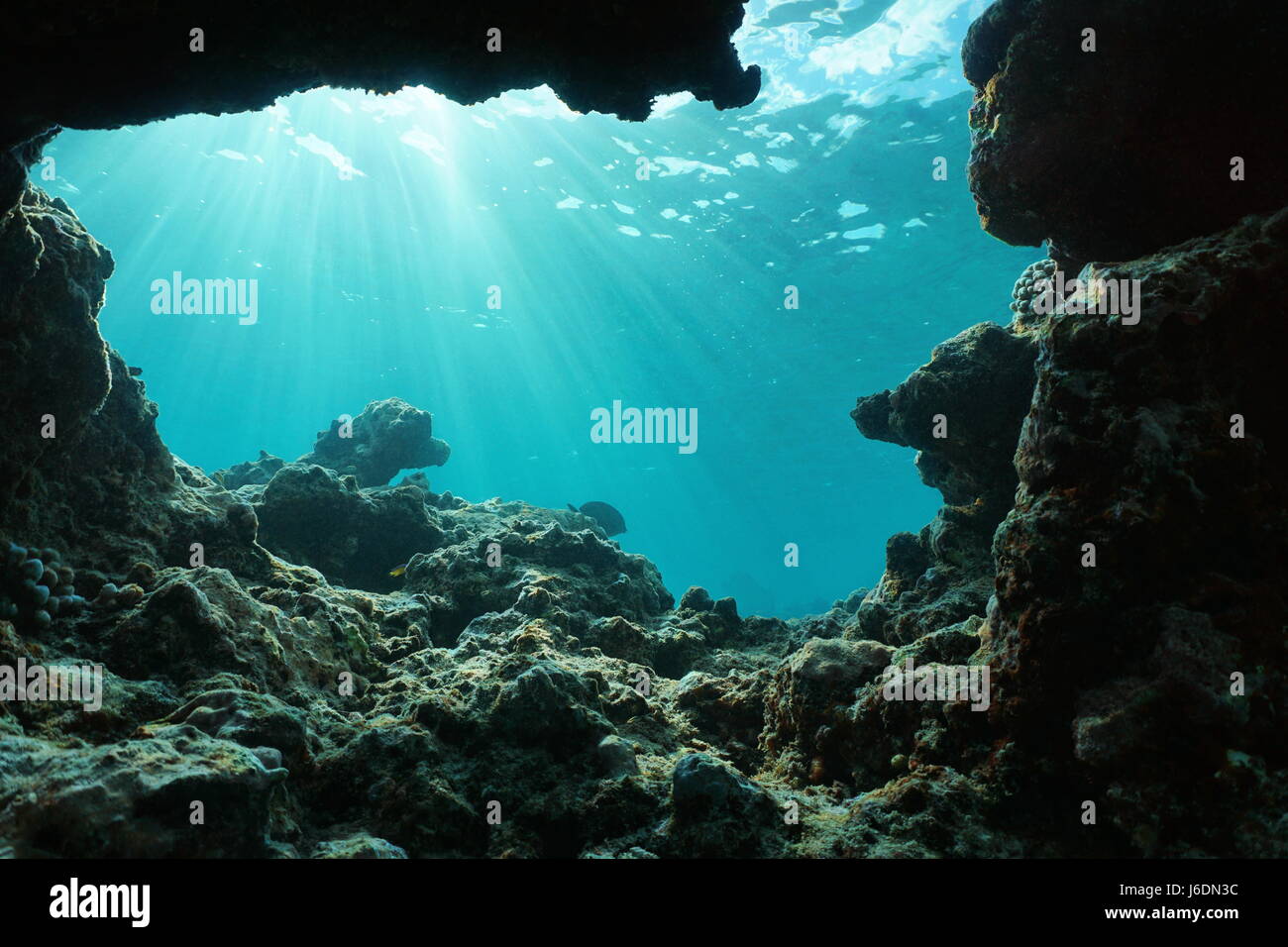 Underwater Ocean Rocks