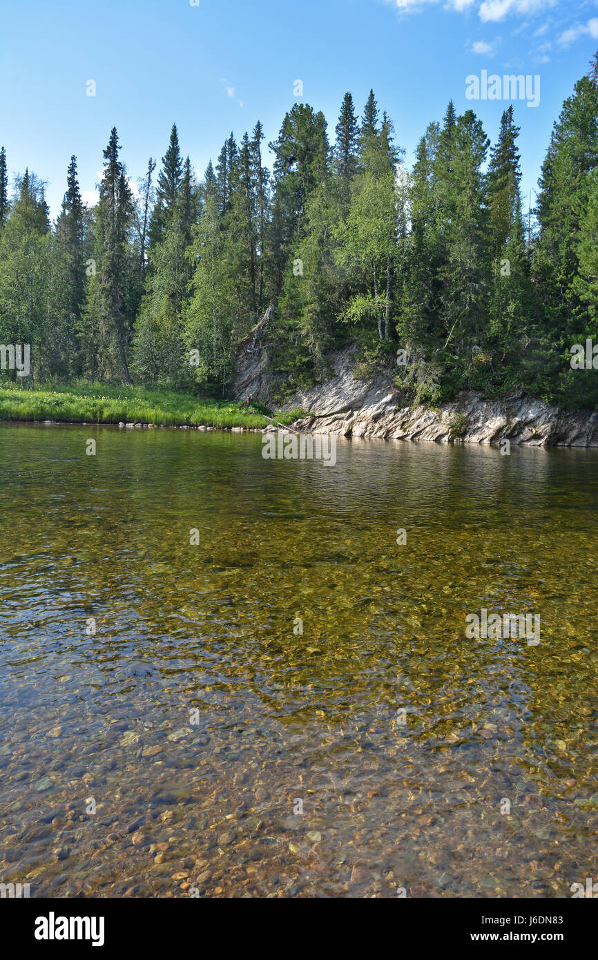 National park "Yugyd va", "Virgin forests of Komi". Summer river ...