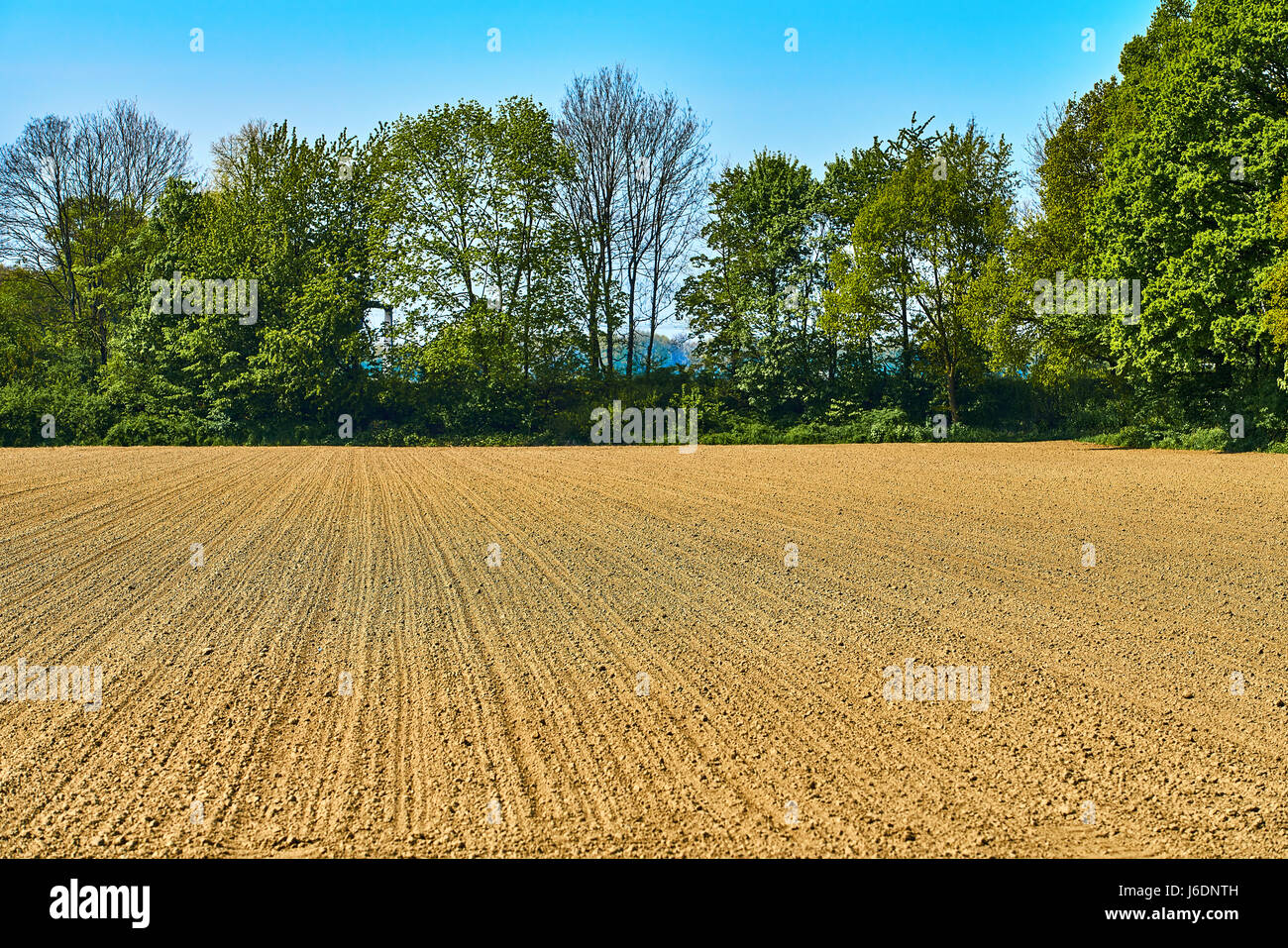 agricultural land. Agriculture farm field Stock Photo - Alamy