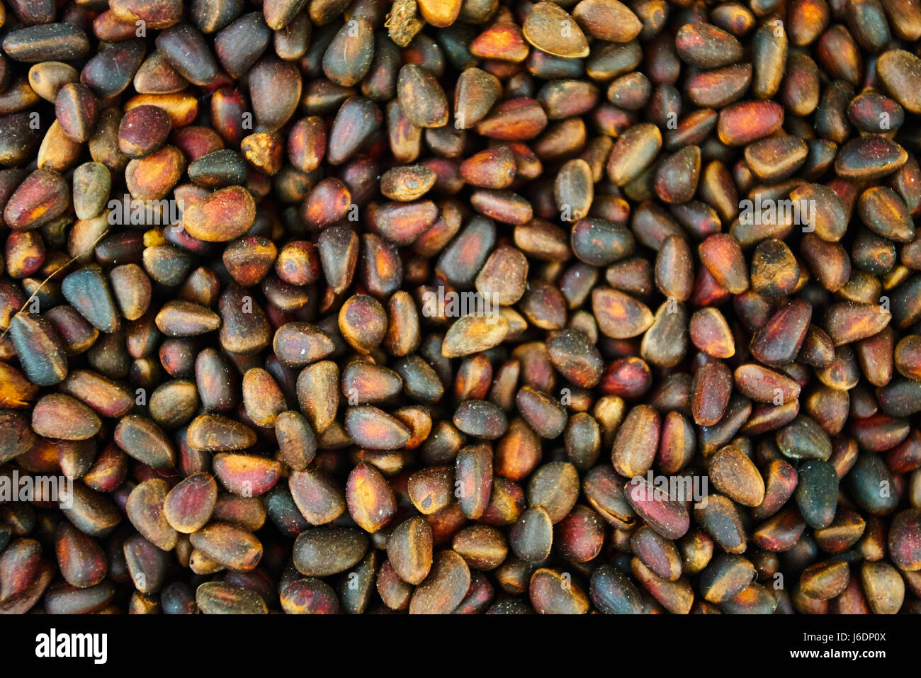 cedar nuts. Pine nuts Stock Photo - Alamy