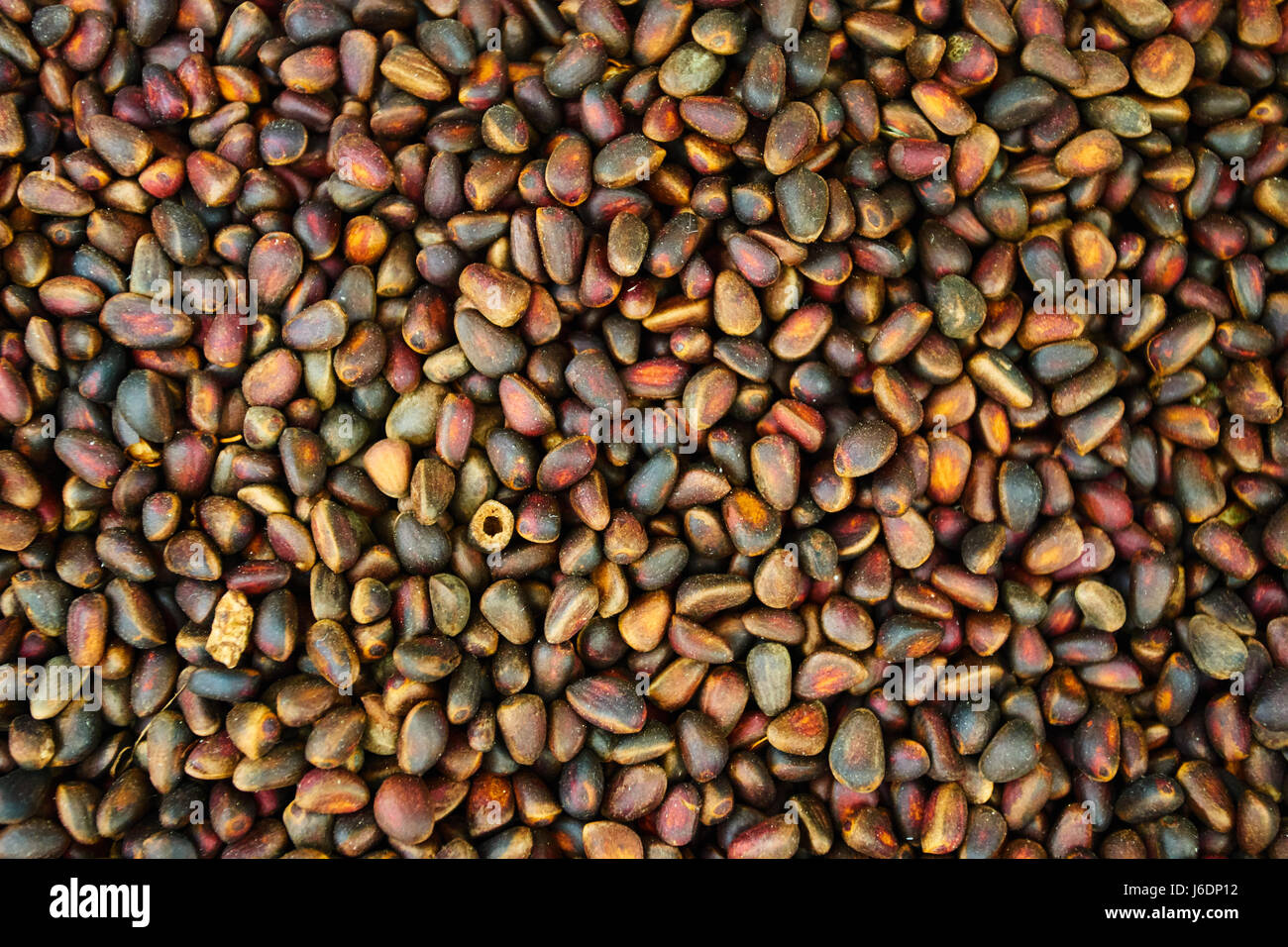 cedar nuts. Pine nuts Stock Photo - Alamy