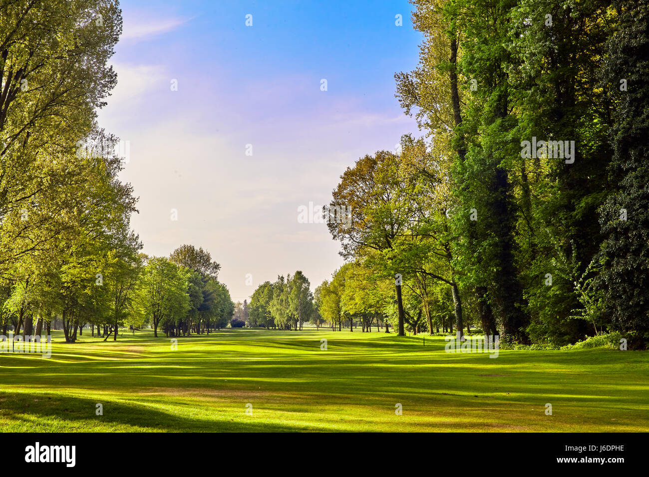City park. Panorama of a beautiful park Stock Photo - Alamy