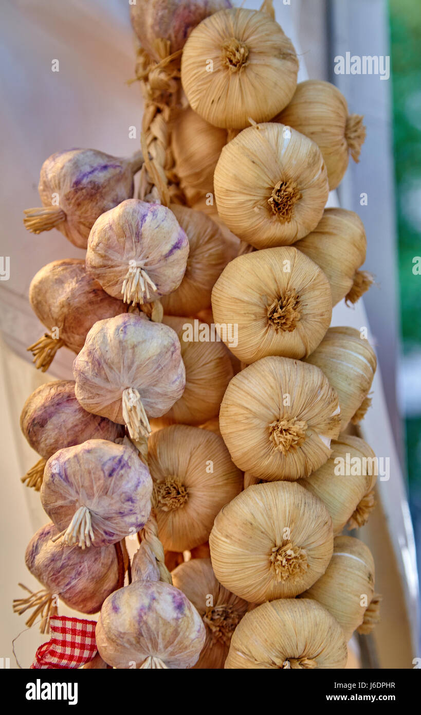 garlic background. plait of garlic bulbs Stock Photo - Alamy