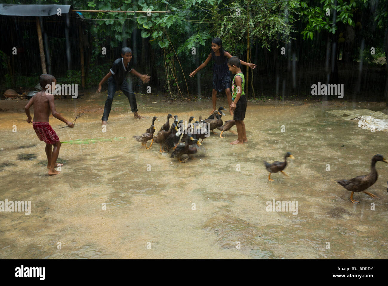 Children playing in rural bangladesh hi-res stock photography and ...