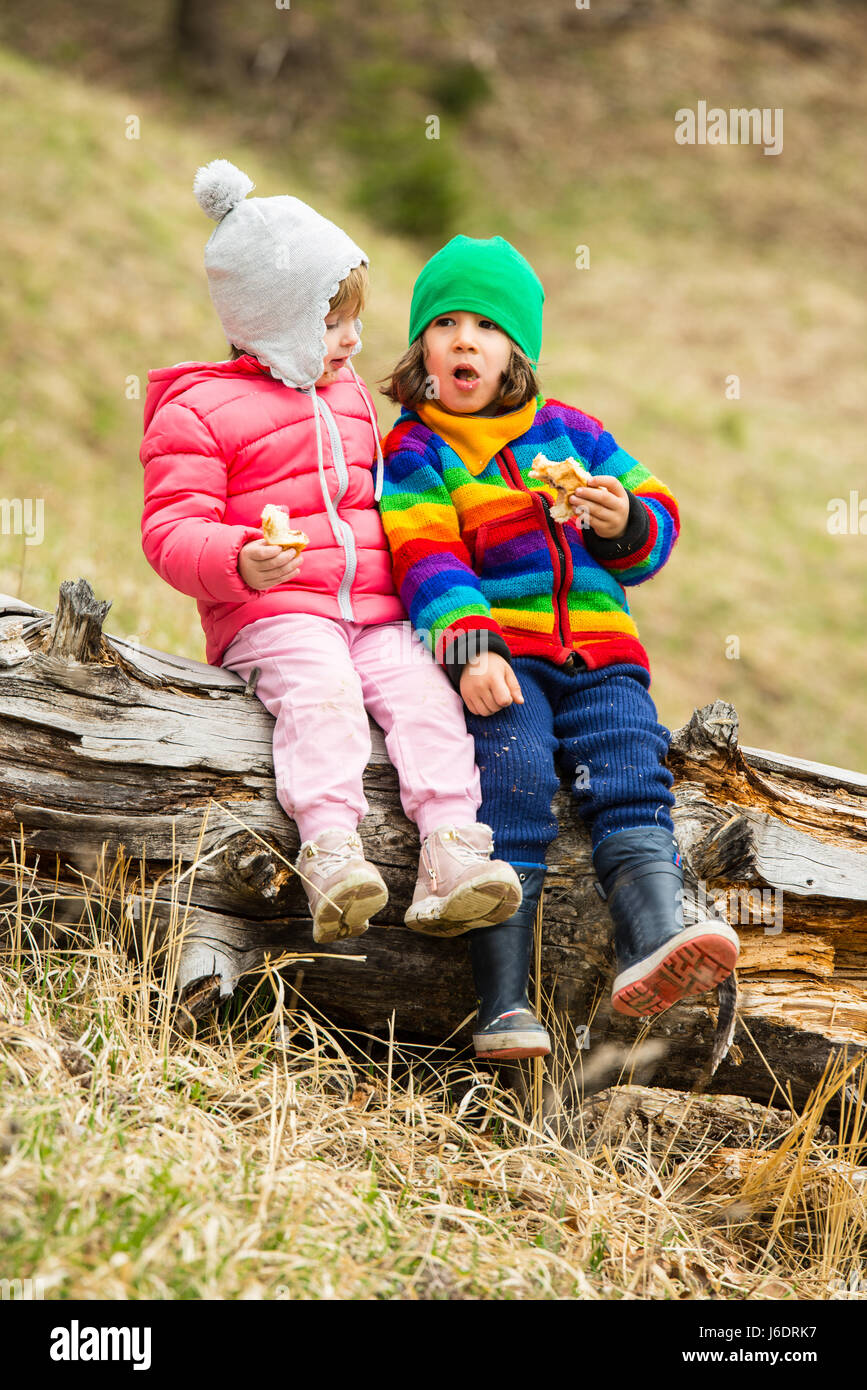 Two little kids friends sitting on tree trunk and eating some cakes ...