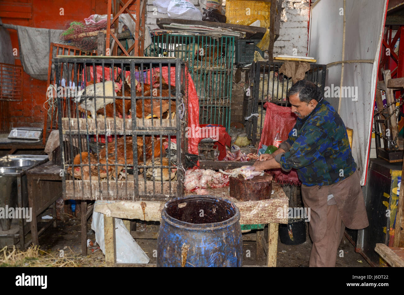 The Famous Food Street, Lahore, Punjab, Pakistan Stock Photo - Alamy