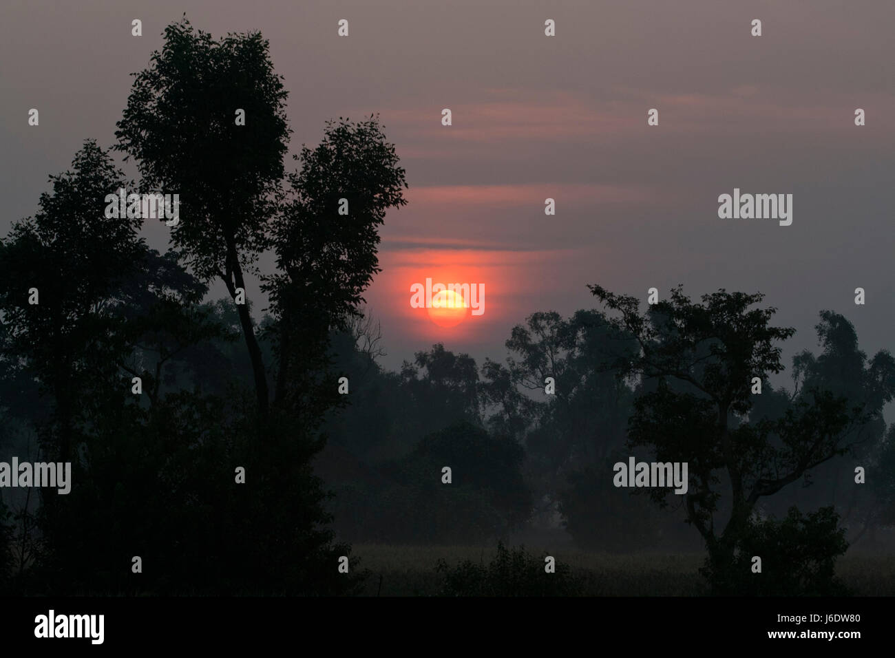 Rural ecene hi-res stock photography and images - Alamy